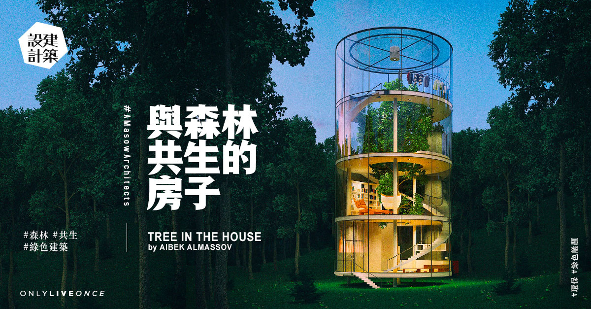 【建築設計】與森林共生的房子「Tree in the house」 | OLO