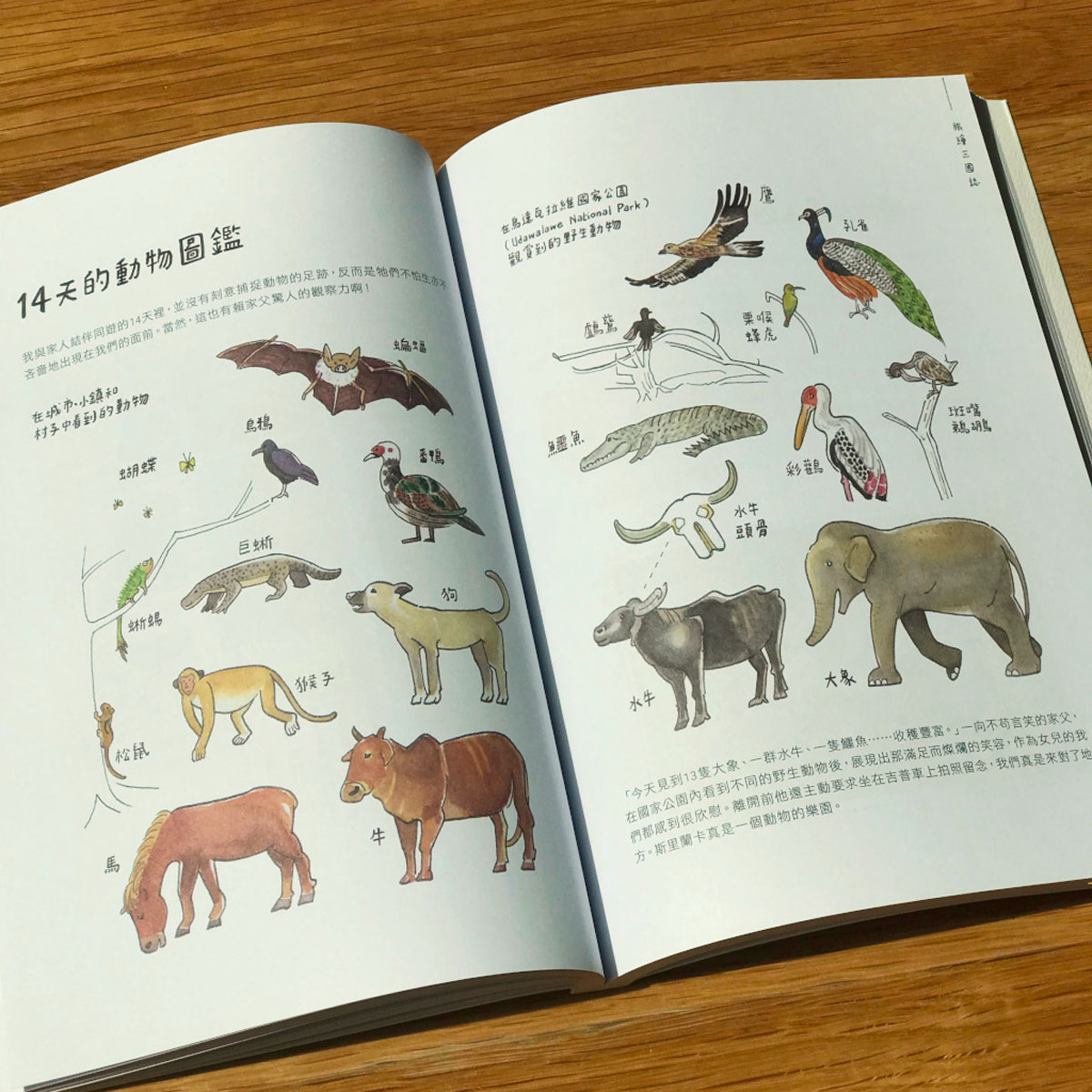 【People of Hong Kong﻿】獨遊女生 Che-ting 用 zine 闡述各國文化 | OLO